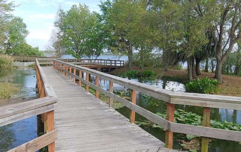 23 Best Things To Do In Lakeland, FL 2025