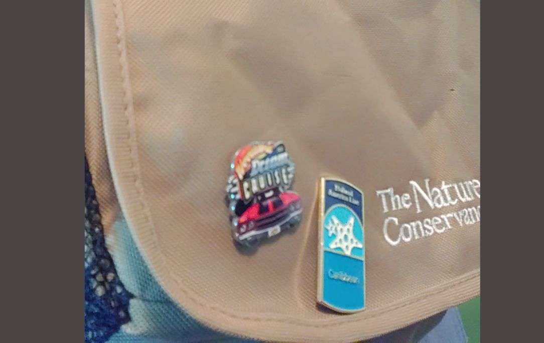 Can You Have Pins on Your Carry-On Bag