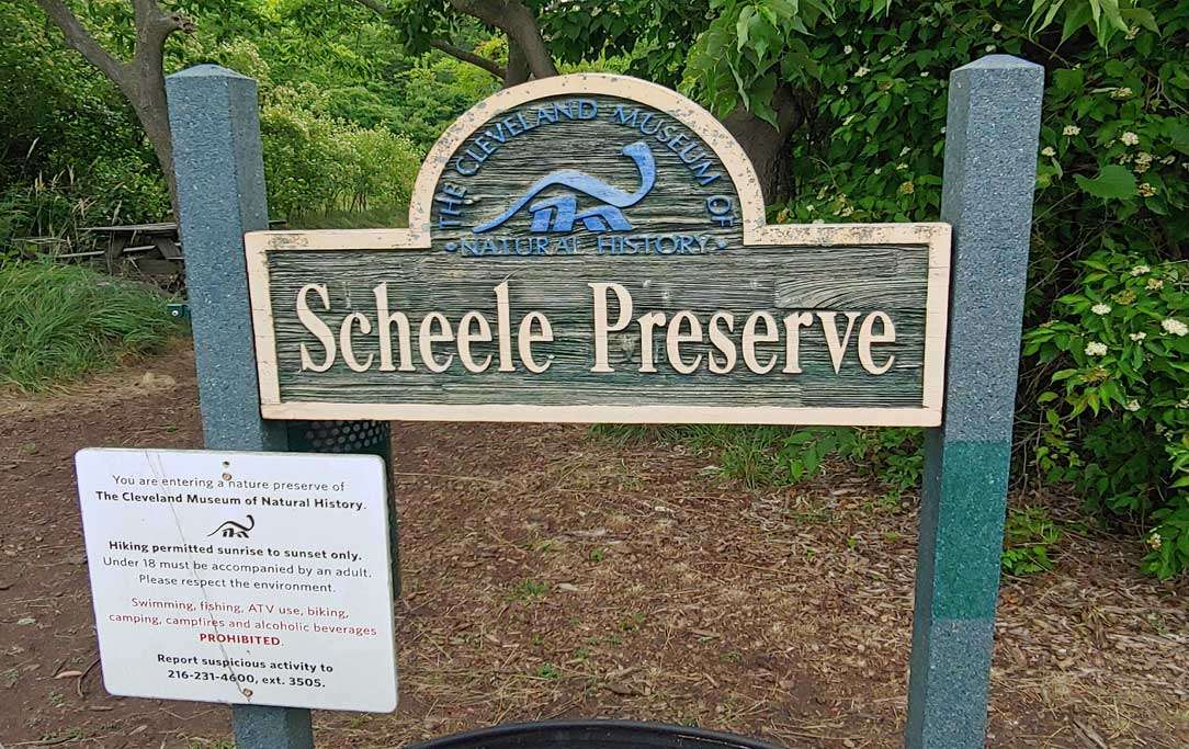 25 Things to Do on a Day Trip to Kelleys Island