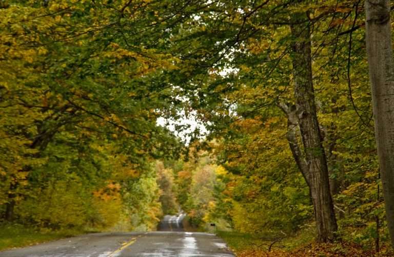 11 Michigan Fall Road Trips - Best Drives for Scenic Foliage